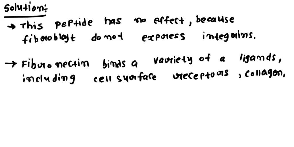 Solved You Have Synthesized An Oligopeptide Containing An Rgd Sequence