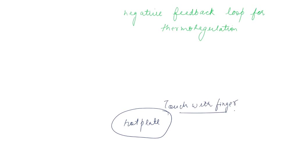 SOLVED: In the negative feedback loop for thermoregulation, what serves ...