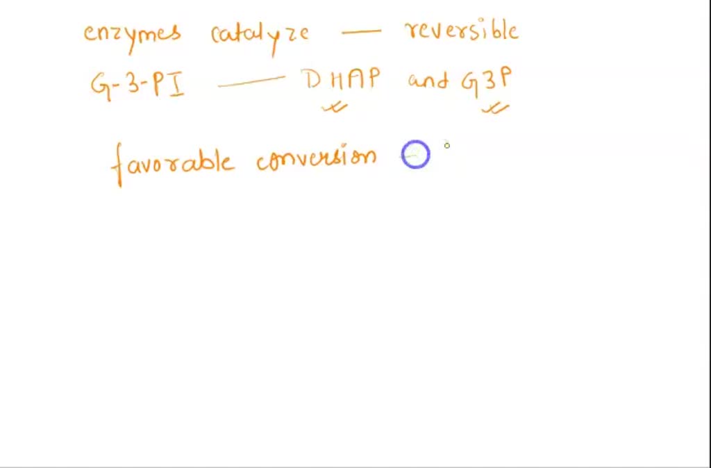 SOLVED: The reactions that enzymes catalyze are usually reversible. The ...