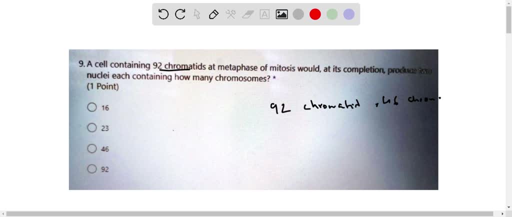SOLVED: 9.A cell containing 92 chromatids at metaphase of mitosis would ...