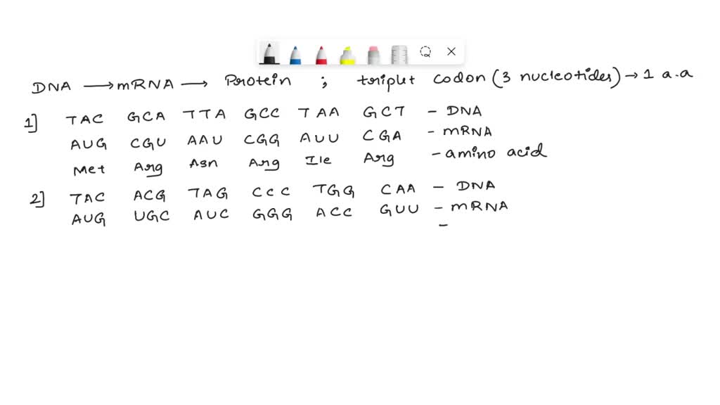 SOLVED: Genetic Code Practice Problems Use the sequence provided to determine the blank ...