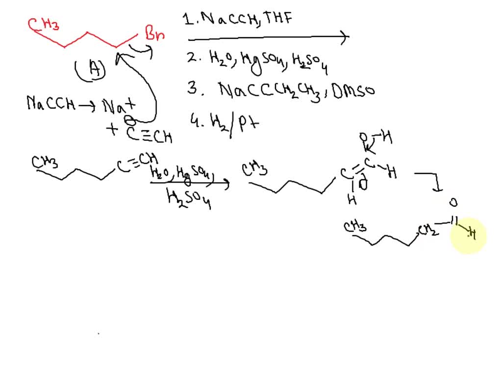 SOLVED: Question (1 point): Predict the major organic product for the ... SOLVED: Question (1 point): Predict the major organic product for the ...