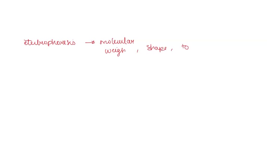 SOLVED: L2 L3 L4 57 L6 10000 bp 5000 bp 300 bp 100 bp Agarose gel ...