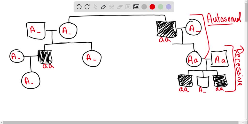 Part B - Identify the mode of inheritance Look over the pedigree you ...