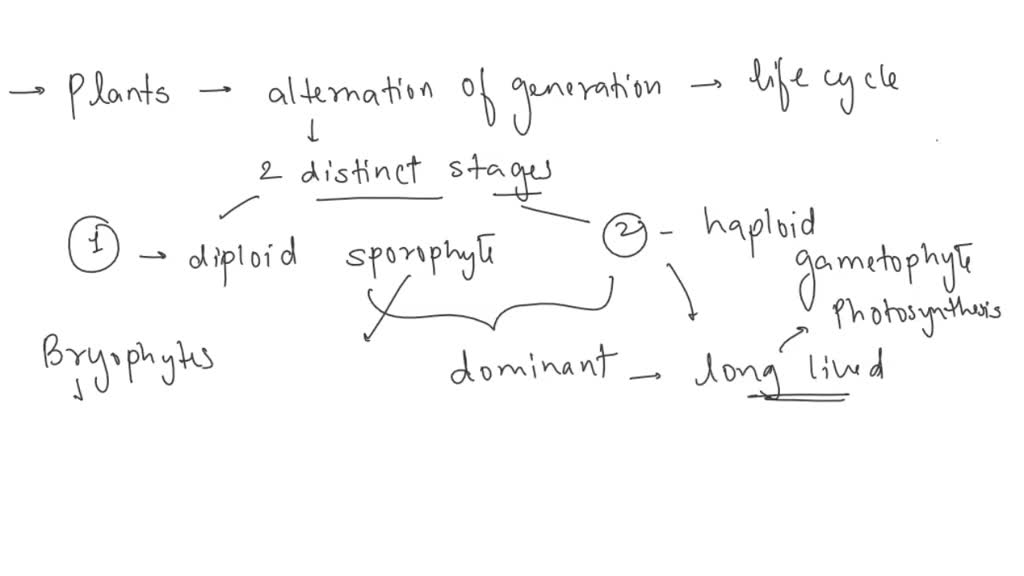 SOLVED: The term "dominant generation" refers to: two multicellular ...