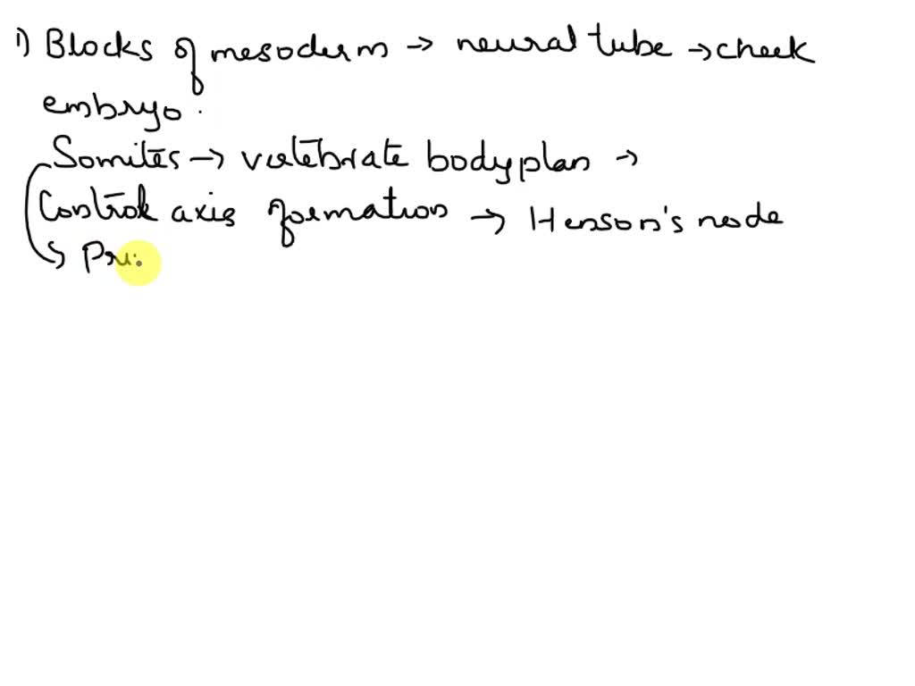 SOLVED: Relative to the primitive streak and Hensen's node, somite ...