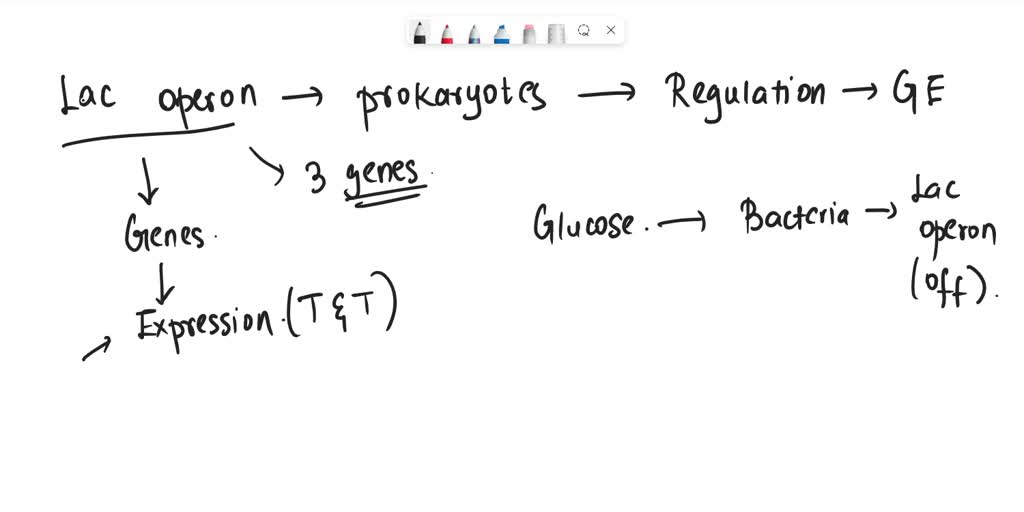 SOLVED: In the presence of both glucose and lactose, the lactose ...