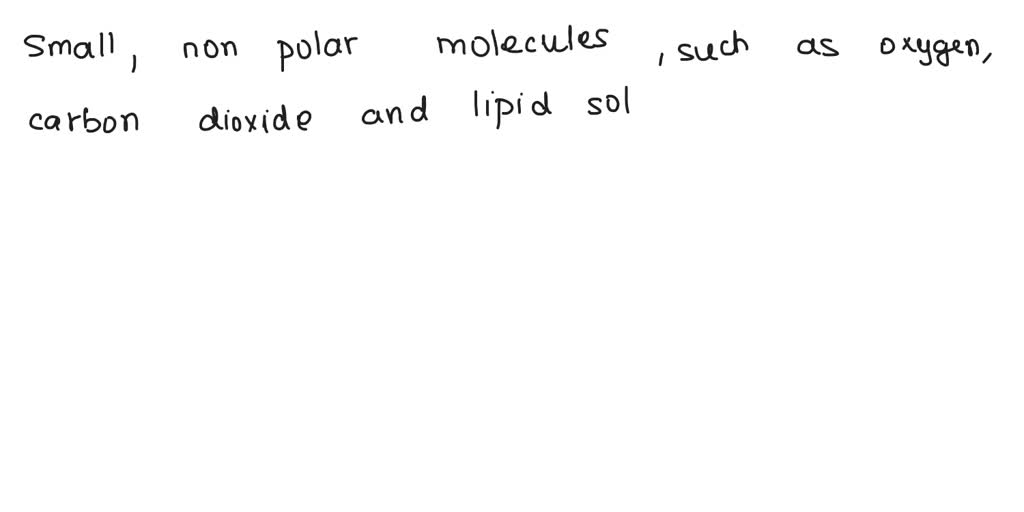 SOLVED: Membrane Transport: What types of molecules can passively ...