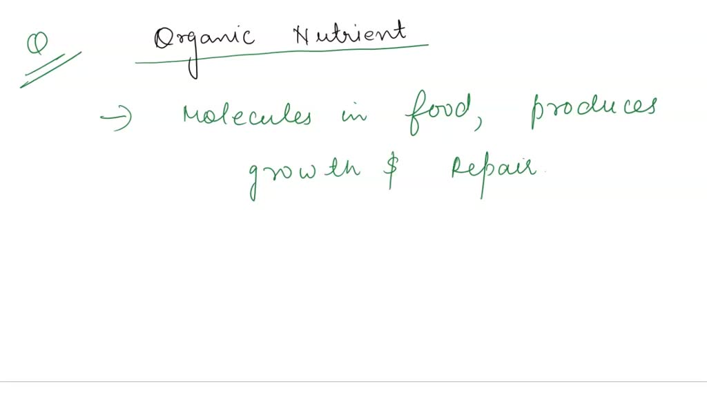 Solved Make A Flow Chart Offood Items Rich In Following Nutrients Carbohydrates Fats Vitamins
