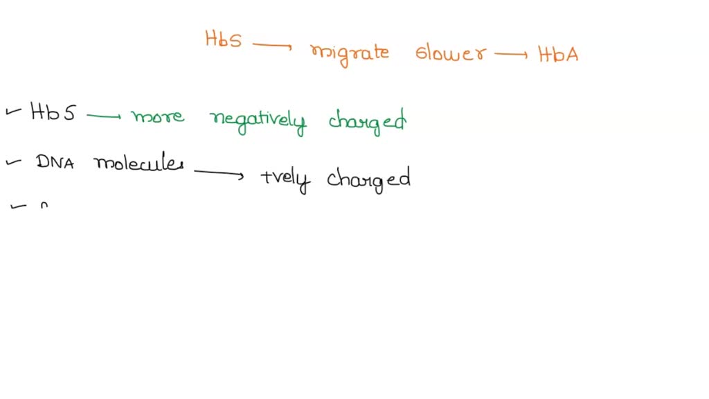 SOLVED: describe the difference between HbS and HBA. Which isoform will ...
