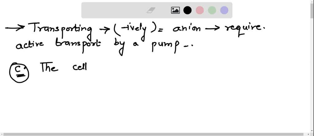 Given the type of transporter as determined in Part 1, choose all of ...
