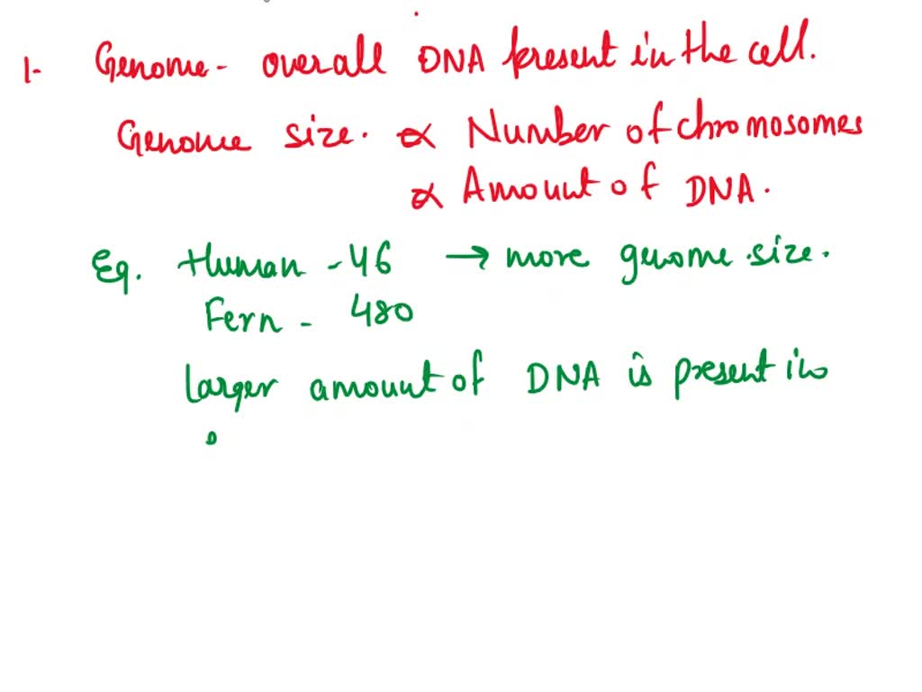 SOLVED: Texts: Chromosome dimer is estimated to be in 15% of E. coli ... SOLVED: Texts: Chromosome dimer is estimated to be in 15% of E. coli ...