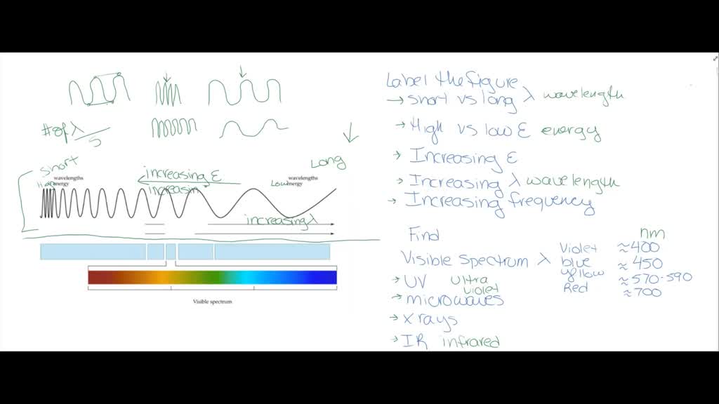 SOLVED: 10) On the picture below, label the wavelength with type (short ...