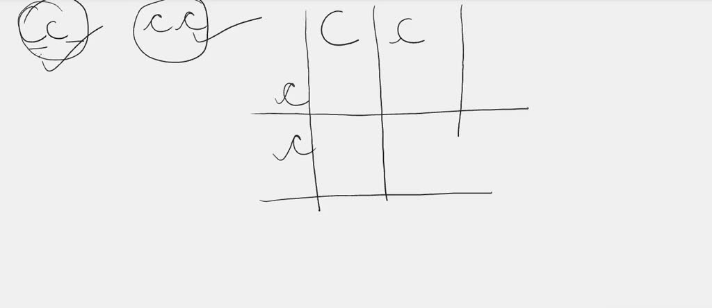 SOLVED: The allele for a cleft chin is dominant in humans what are the ...