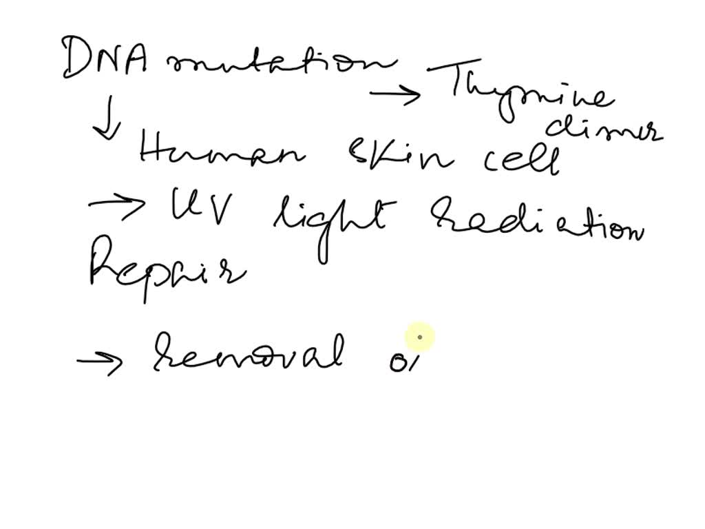 SOLVED: The following describes a scenario where a mutation needs to be ...