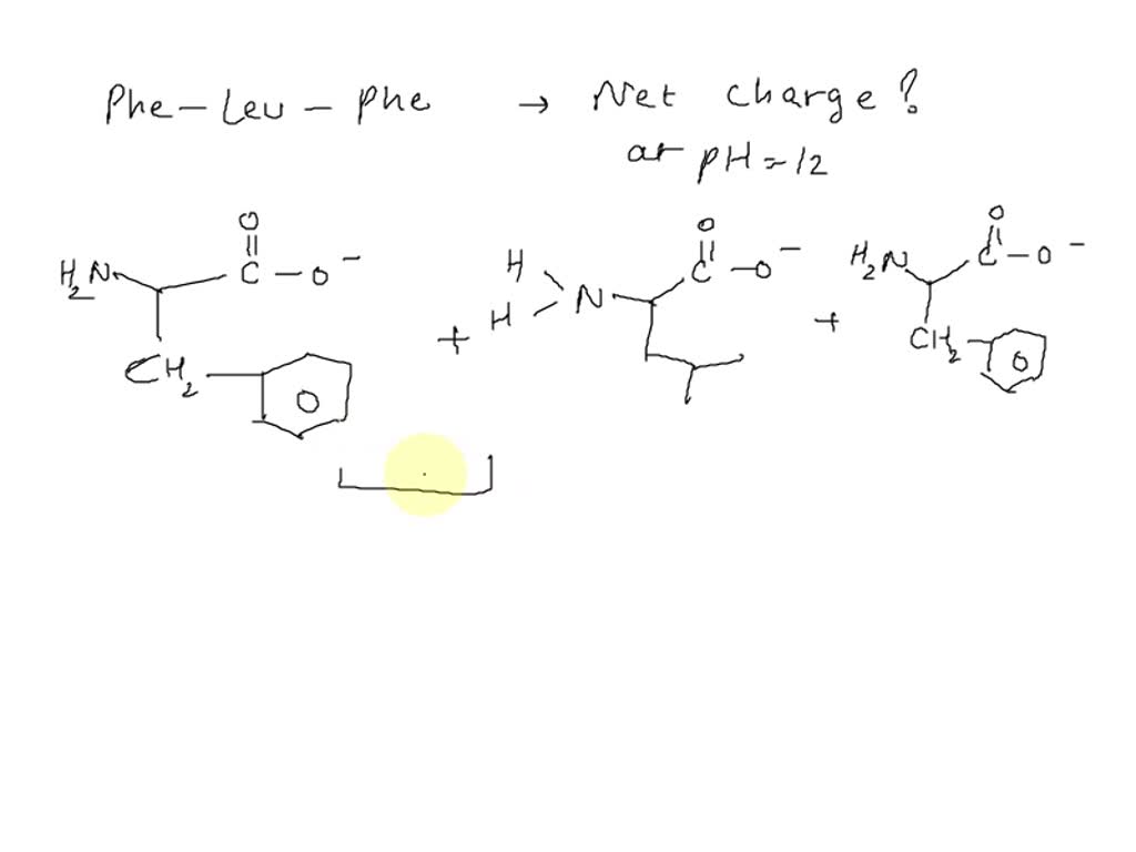SOLVED: What is the net charge on the peptide Phe Leu Phe when it is ...