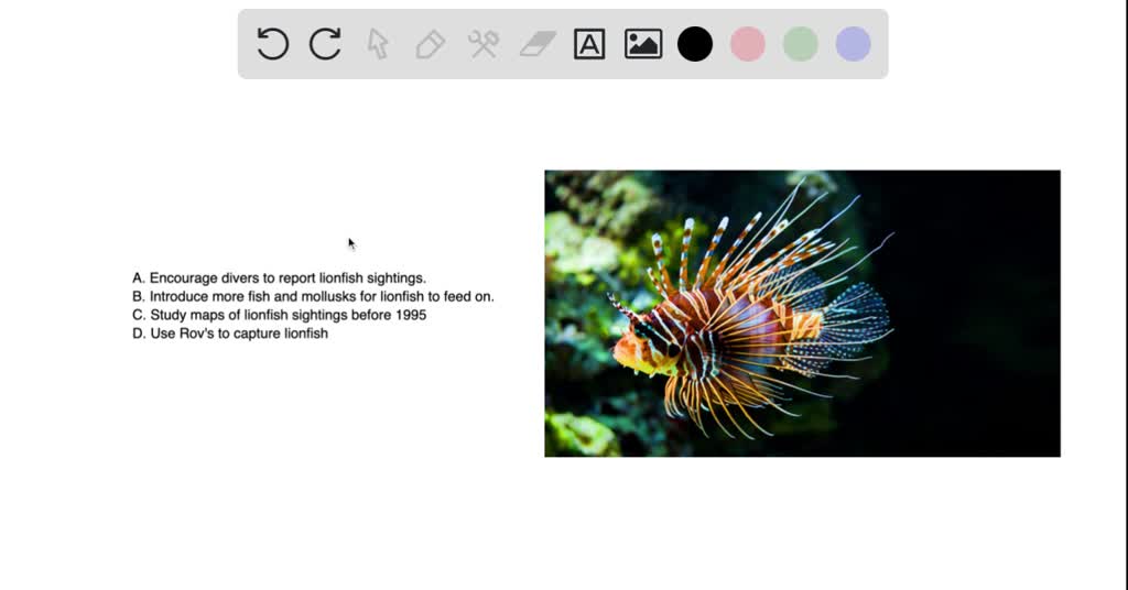SOLVED: Lionfish have become an invasive species since their ...