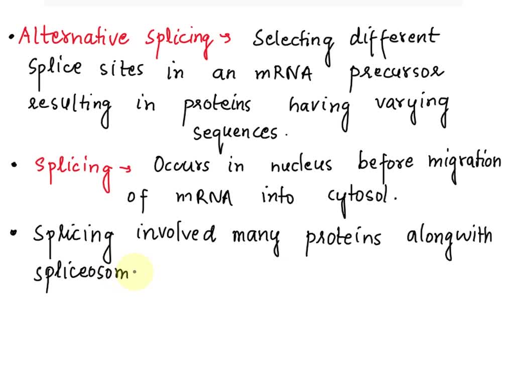 SOLVED: Eukaryotic messenger RNA can undergo post synthetic processing ...