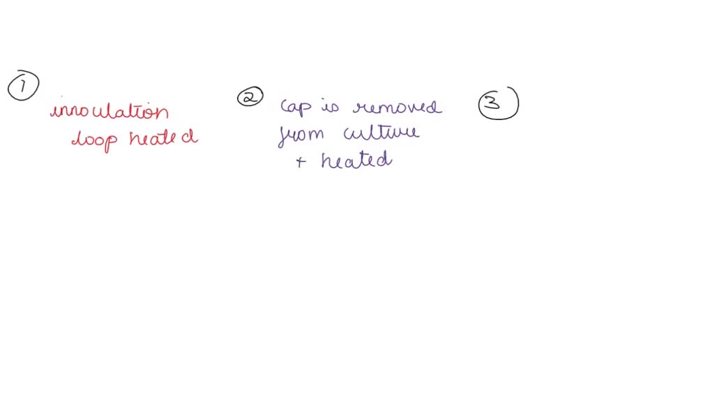 SOLVED: Using a short bond paper and some drawing materials, illustrate ...