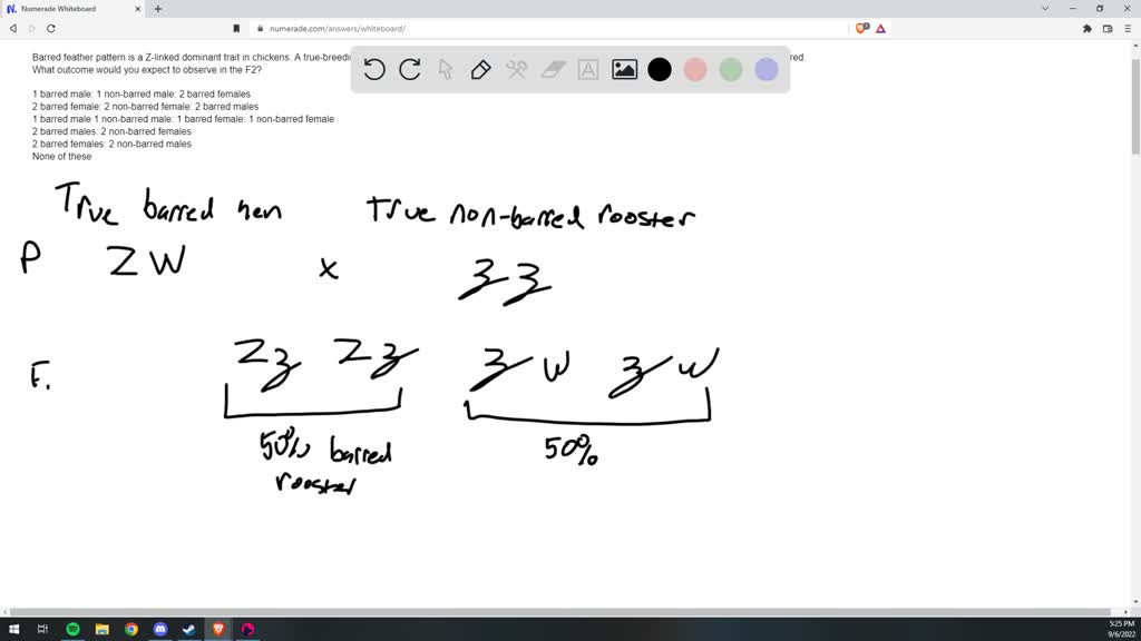SOLVED: Barred feather pattern is a Z-linked dominant trait in chickens. A true-breeding barred ...