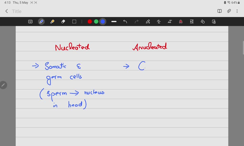 SOLVED: 4. Examples of nucleated cells include… A. Skin Cells B ...