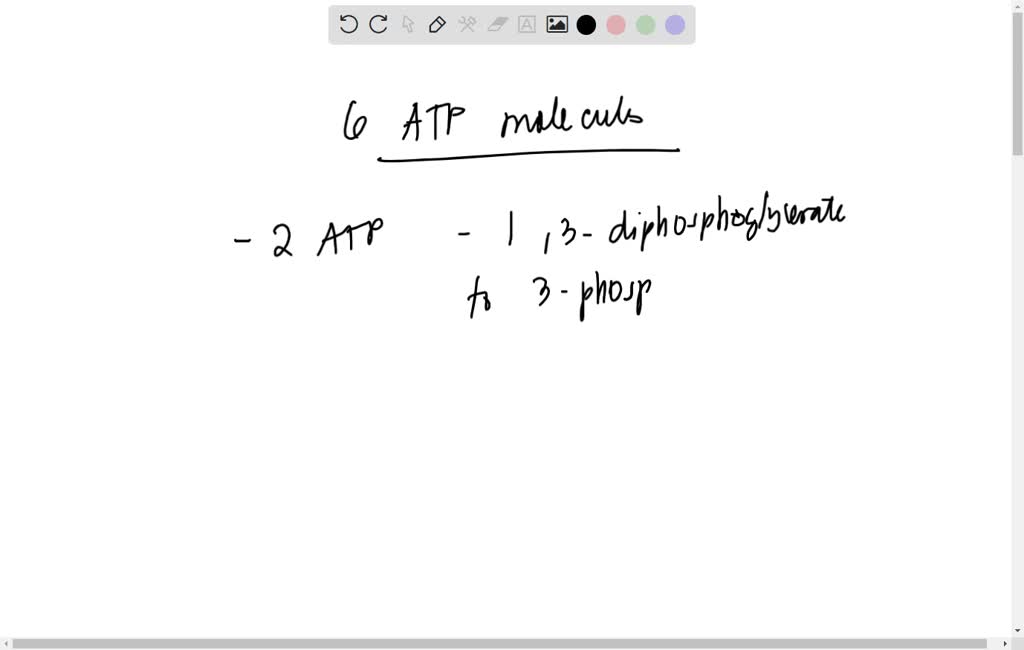 SOLVED: During which cellular respiration processes and how many ATP ...