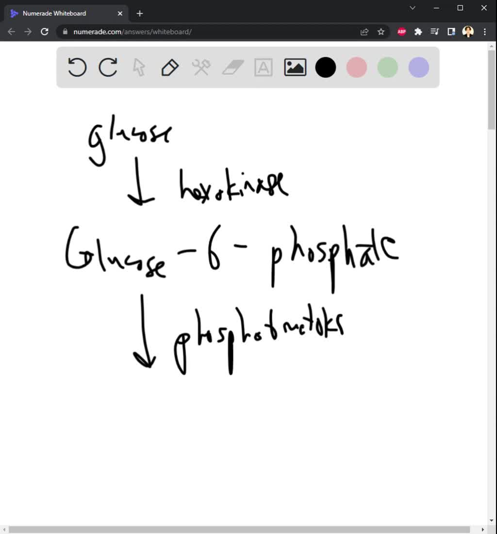 SOLVED: 1. Citric acid production: An "aerobic" fermentation is used to ...