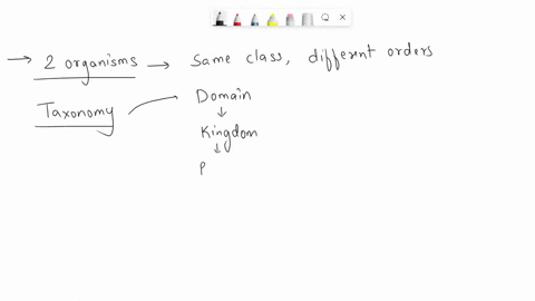 according to classification if two organisms are in the same class then ...