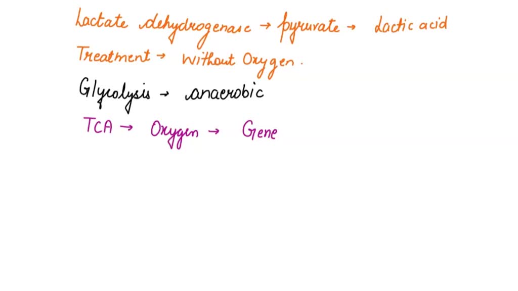 SOLVED: The lactate dehydrogenase gene codes for the enzyme that ...