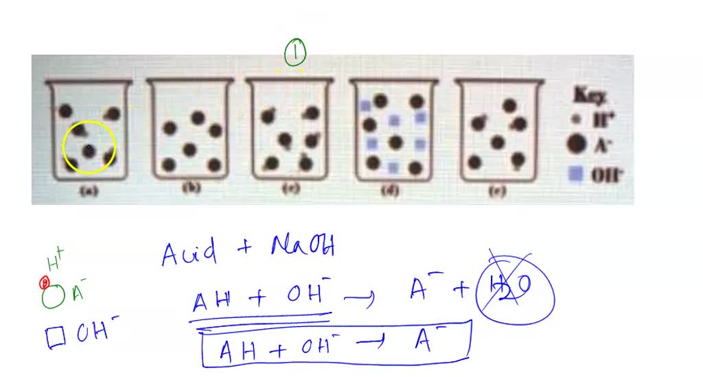 SOLVED: An acid is titrated with NaOH. The following beakers are ...