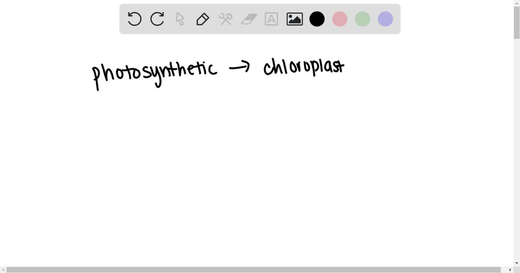 SOLVED: Question 5 (1 point) Saved The evolution of eukaryotic cells ... SOLVED: Question 5 (1 point) Saved The evolution of eukaryotic cells ...