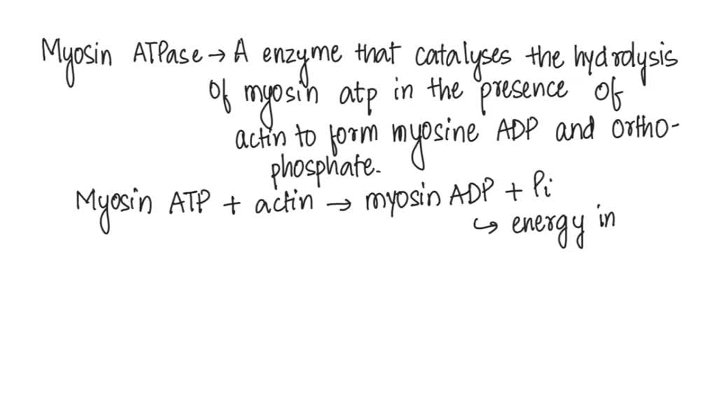 SOLVED: Explain how increasing myosin-ATPase activity affects muscle ...