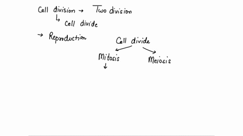 The two main stages of cell division are called amitosis and...