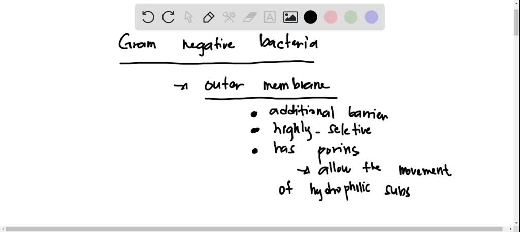 SOLVED: Klebsiella are gram-negative encapsulated bacteria with dozens ...