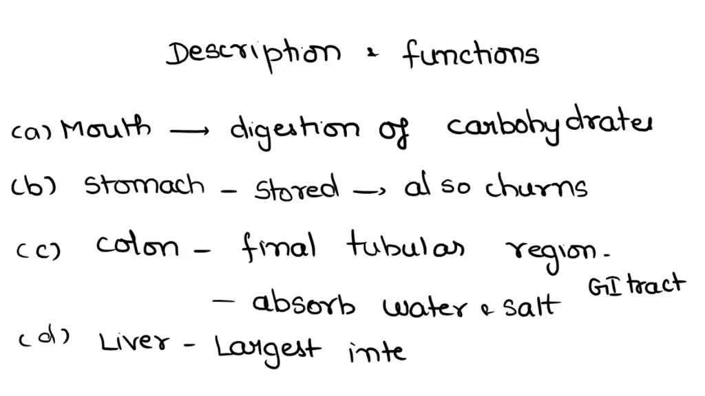 SOLVED: Fill in the sentences with the correct organ that matches the ...