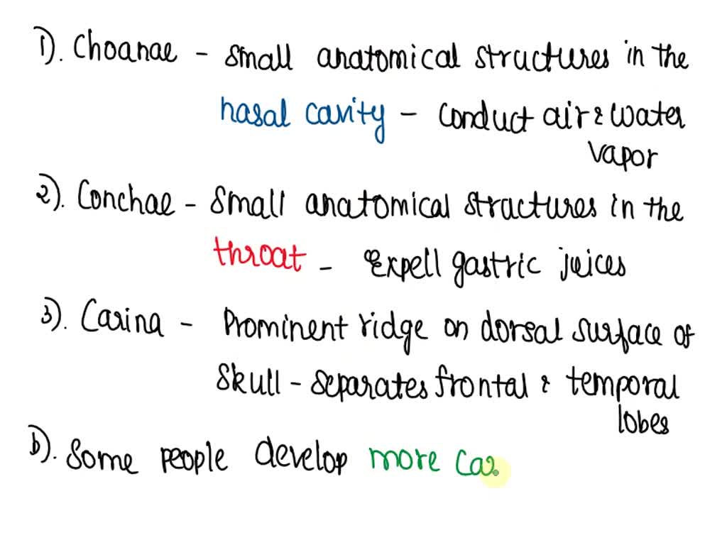 SOLVED: Chapter 22. Due 11-12-21. The three terms, choanae, conchae ...