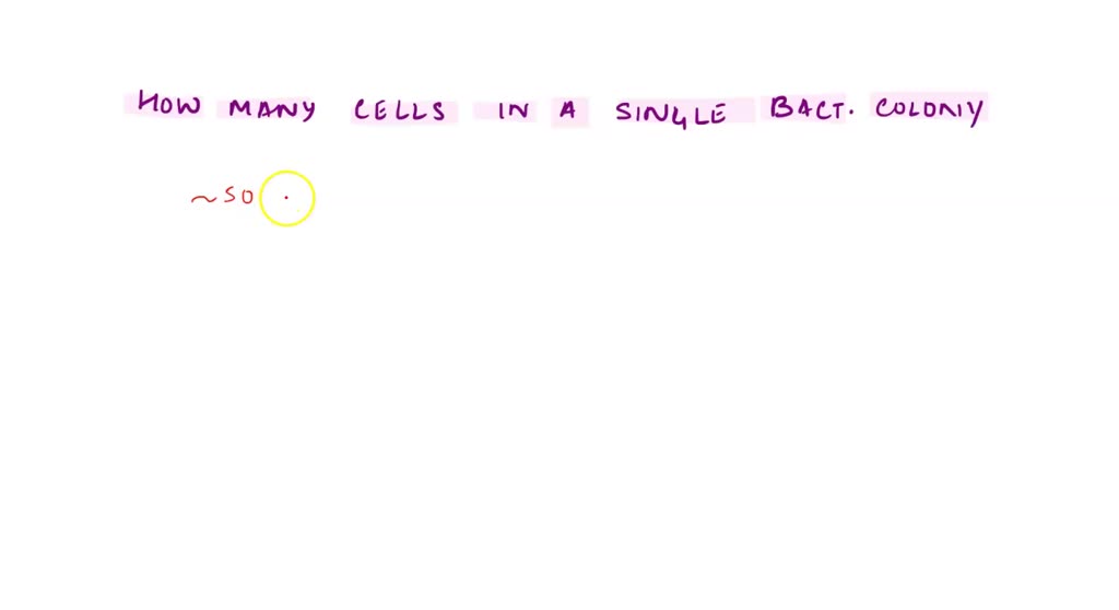 SOLVED: An average, how many bacteria cells do you think are in a typical colony of a common ...