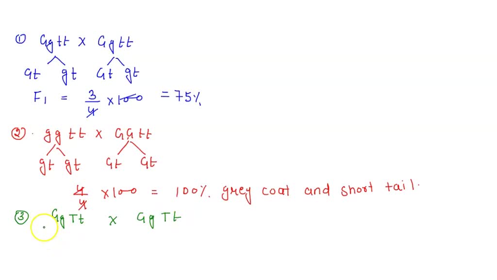 SOLVED: In certain mice, long tails (T) are dominant over short tails ...