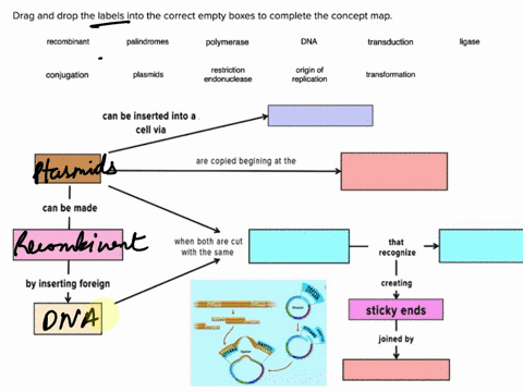 choose the correct terms for each lettered box to complete the concept map a can be made b by ...