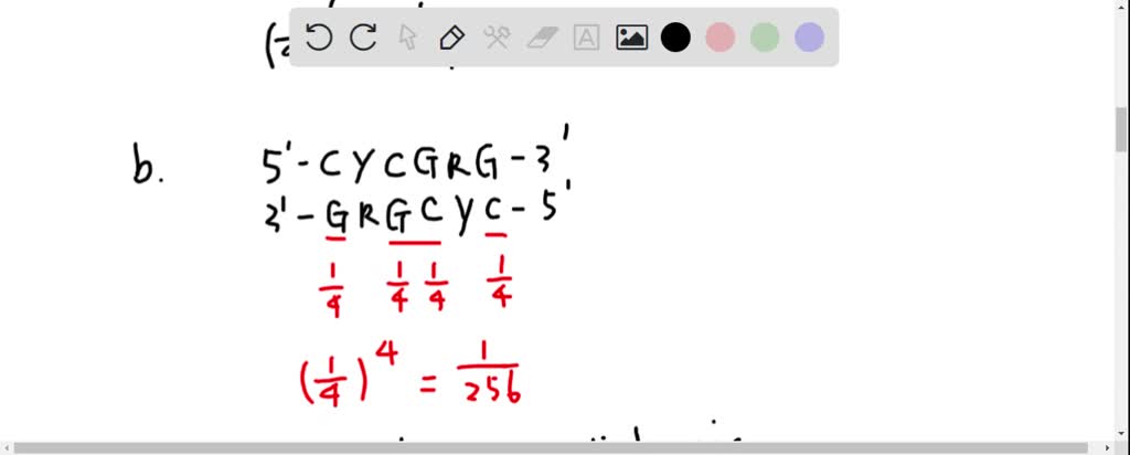 Solved What Is A Restriction Enzyme Restriction Endonuclease What 4717
