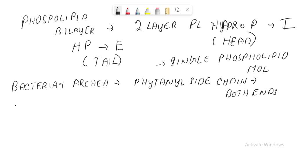 SOLVED: Using the illustration; what do the phospholipid bilayers of ...