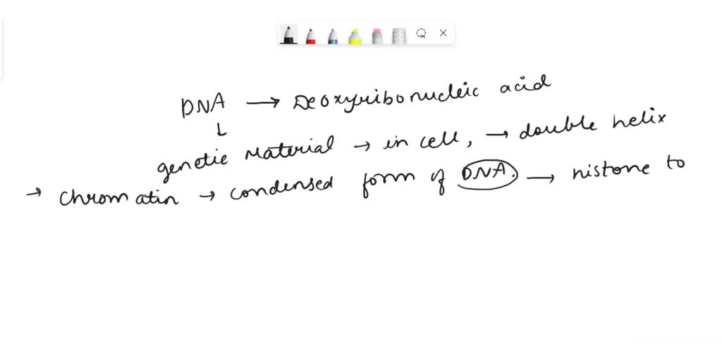 SOLVED: Explain the difference between DNA, chromatin, and chromosomes, as presented in the ...