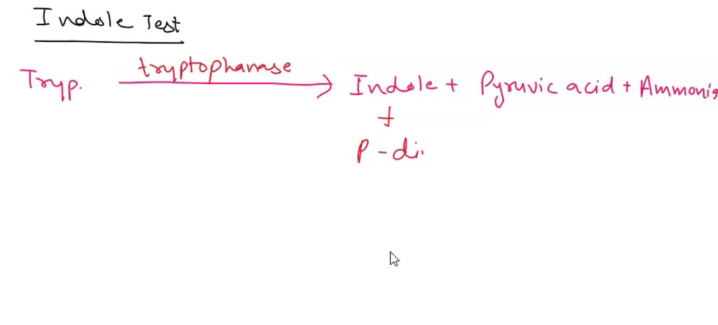 SOLVED: Construct a testing flow chart to identify the unknown bacteria ...