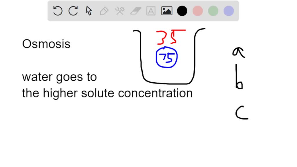 SOLVED: In the scenario below, an artificial cell containing chloride ...