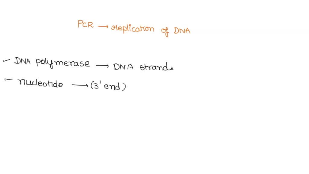 SOLVED: PCR is modeled on the replication of DNA inside a living ...