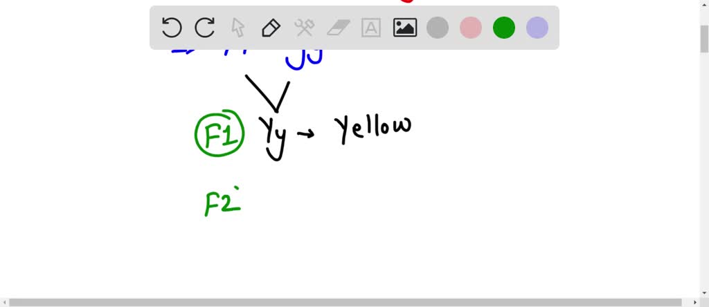 SOLVED: In pea plants, yellow seed color (Y) is dominant and green seed ...