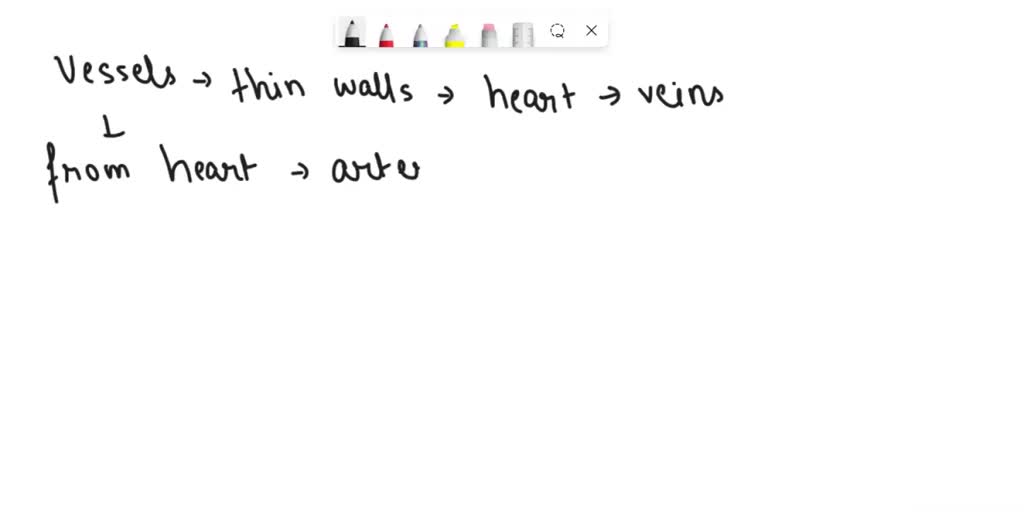 Vena cava Aorta Blood Vessel Chart Largest holding capacity Walls are ...