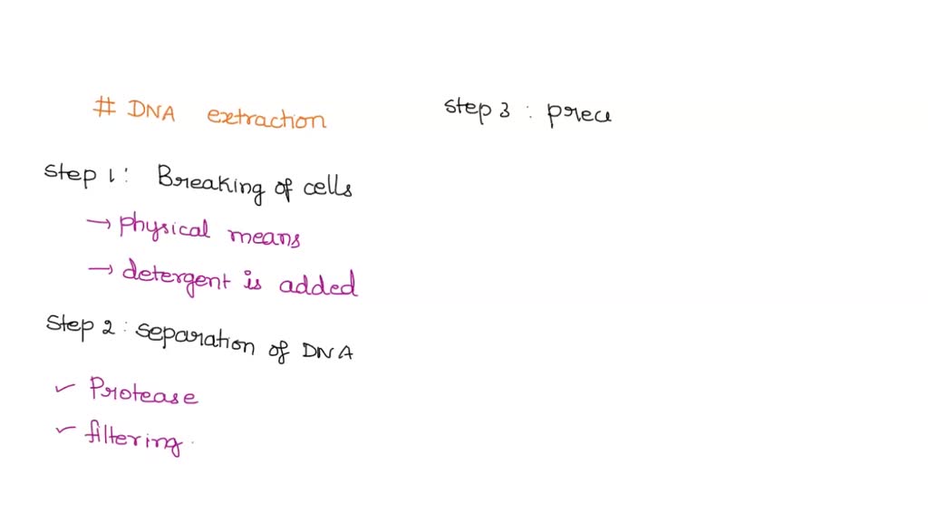 SOLVED: DNA Extraction Virtual Lab Step Two: Burst Cells Open to ...