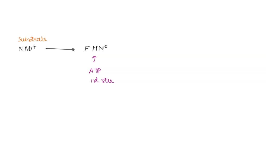 Hypothesis: Revise 1 Here is the data from the experiment: Glycolysis ...