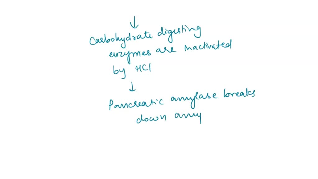 SOLVED: Review the steps of carbohydrate digestion. Trace the digestion ...